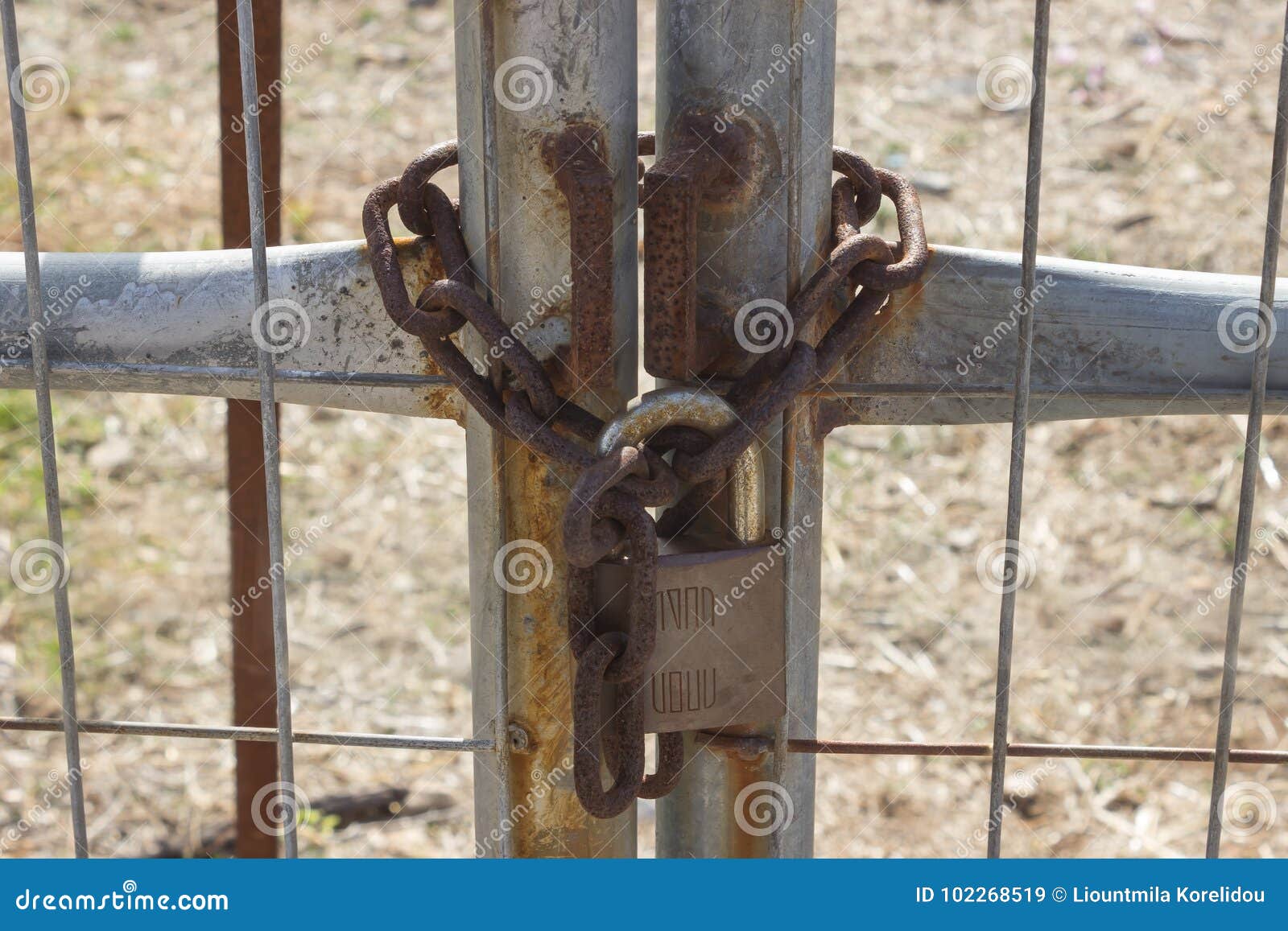 Old Lock with Chain on Iron Gate. Concept of Reliability and Sa Stock ...