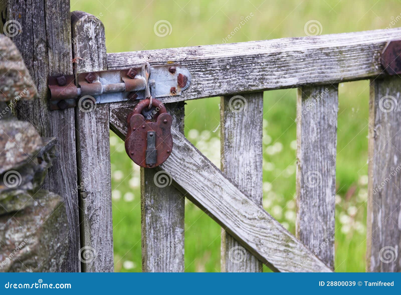 Old Lock on a Gate stock image. Image of entrance, outdoors - 28800039
