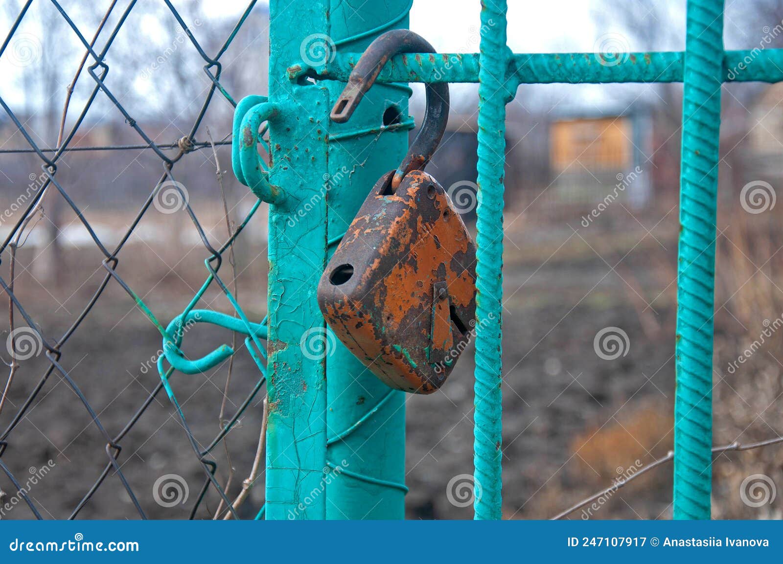 Old lock at the metal gate stock image. Image of closeup - 247107917