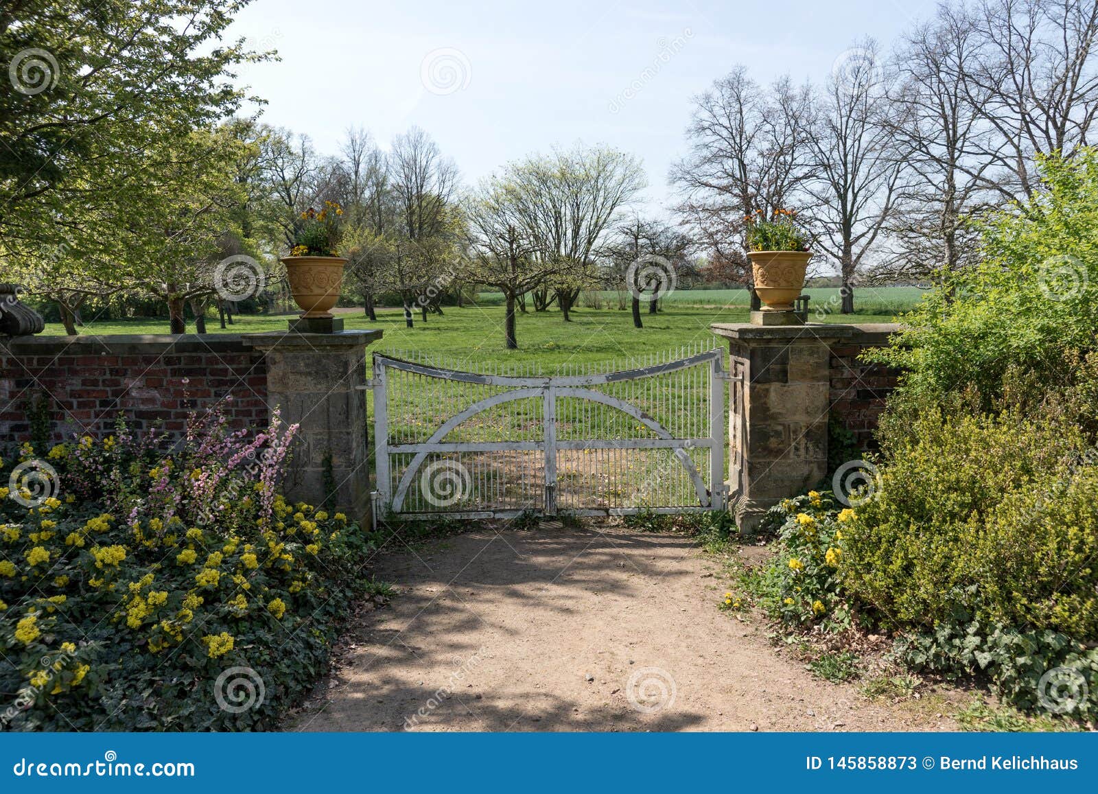 Old Locked White Wooden Gate in the Park Stock Image - Image of nature ...