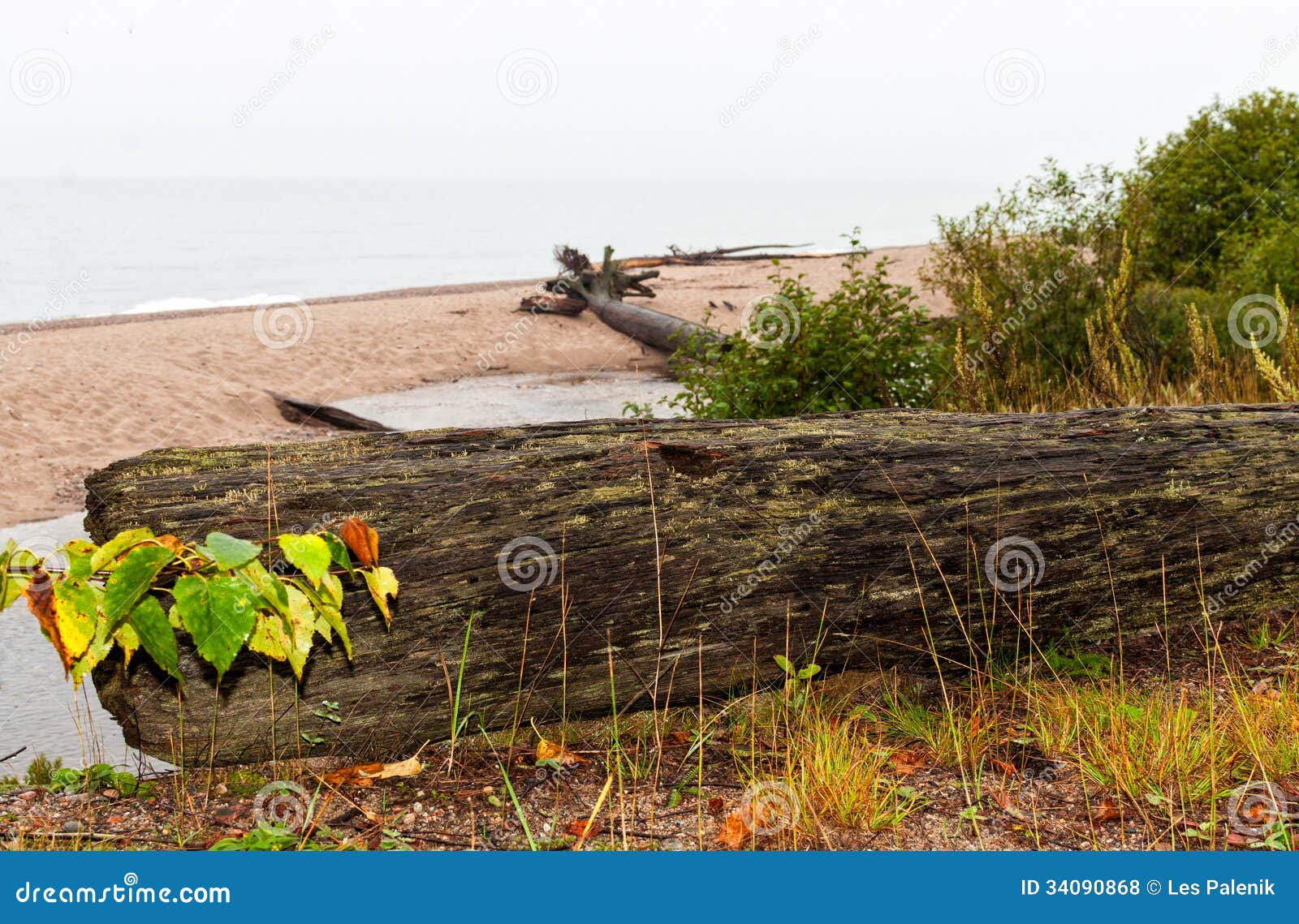 Old log on the beach stock photo. Image of cloudy, rain - 34090868