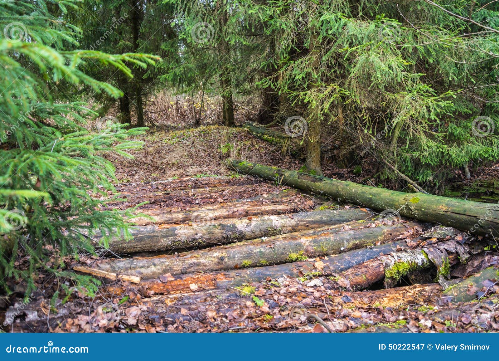 Old log bridge stock image. Image of nature, bridge, road - 50222547