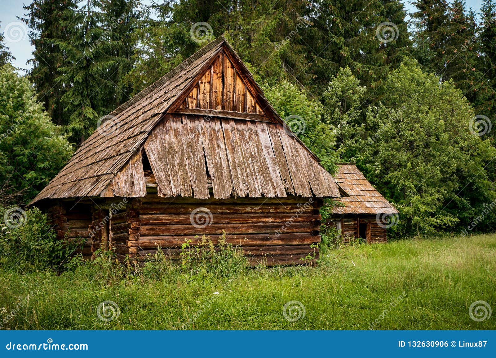 Old Log Cabin in the Forest Stock Photo - Image of forest, shelter ...