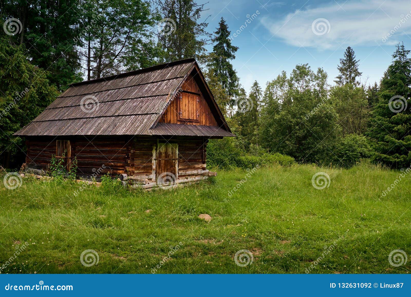 Old Log Cabin in the Forest Stock Photo - Image of tatra, farm: 132631092