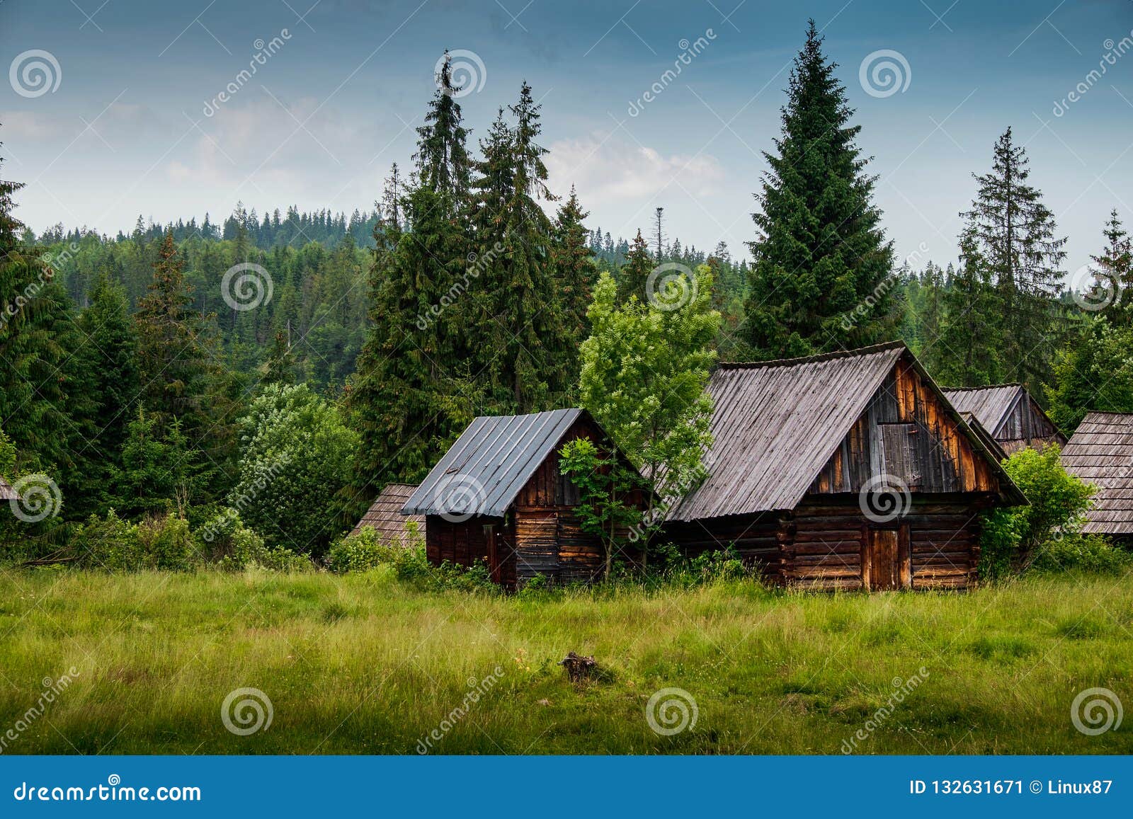 Old Log Cabin in the Forest Stock Image - Image of broken, mountain ...