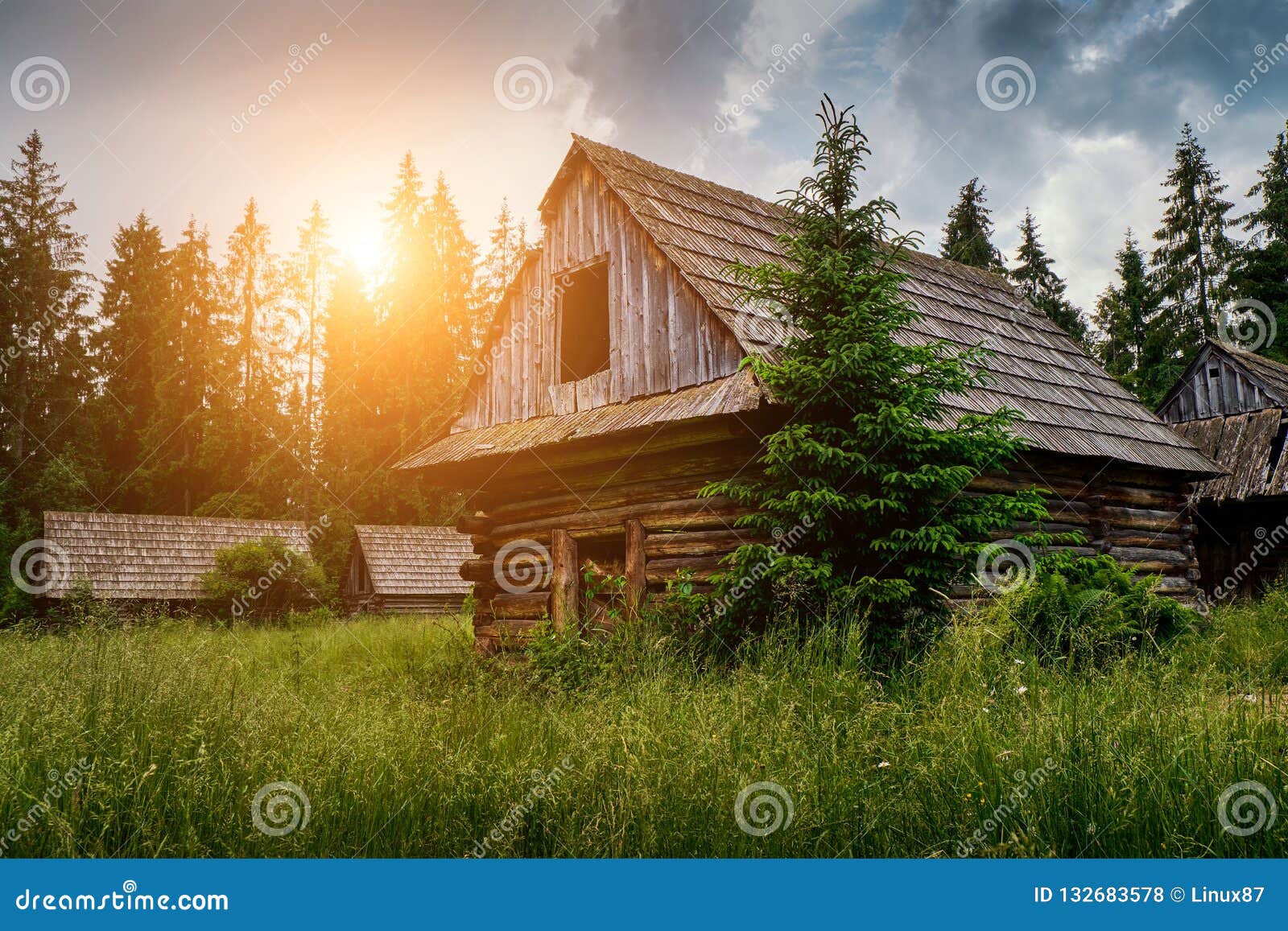 Old Log Cabin in the Forest Stock Photo - Image of landscape, rustic ...