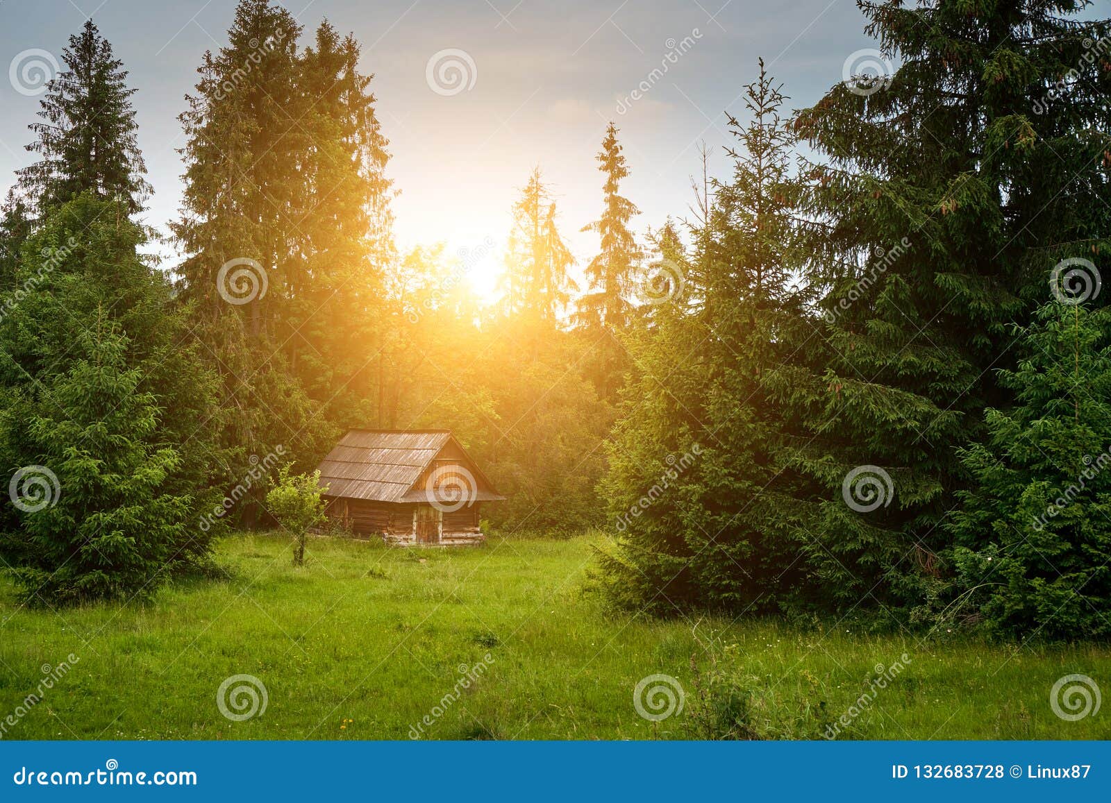 Old Log Cabin in the Forest Stock Photo - Image of tatra, rustic: 132683728