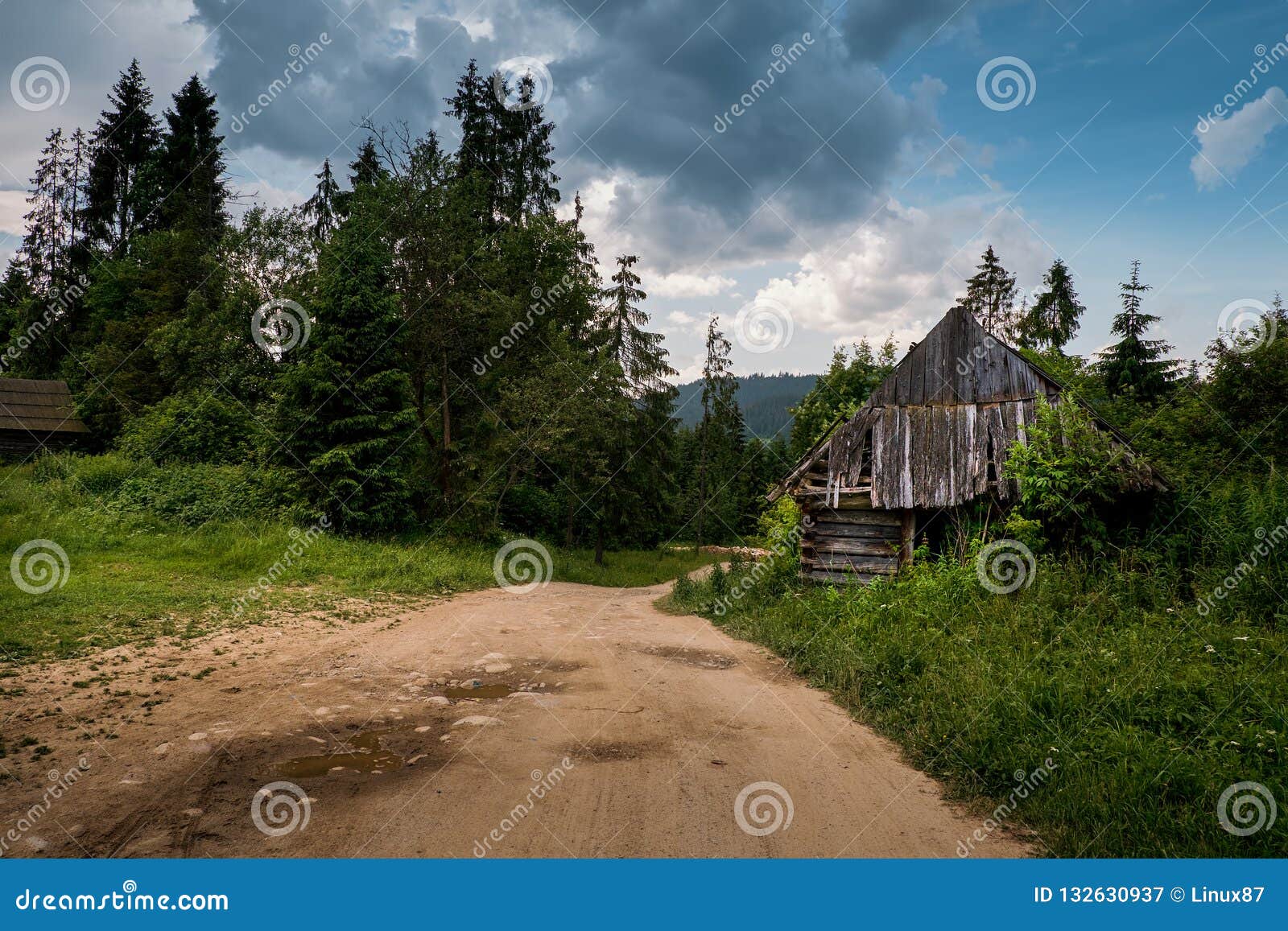 Old Log Cabin in the Forest Stock Image - Image of building, forest ...