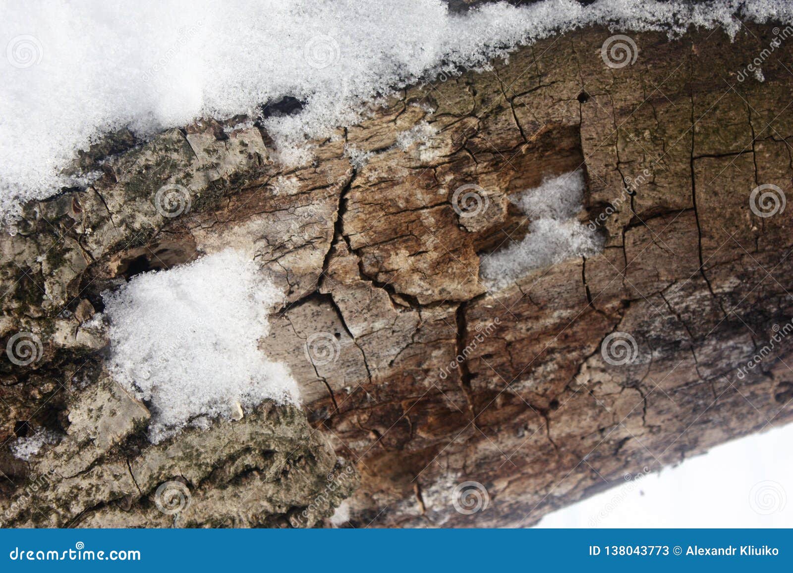 An old log covered in snow stock image. Image of energy - 138043773