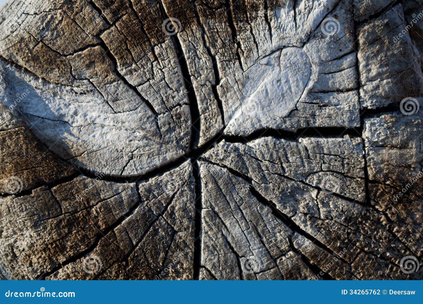 Old log with cracks stock photo. Image of shape, nature - 34265762