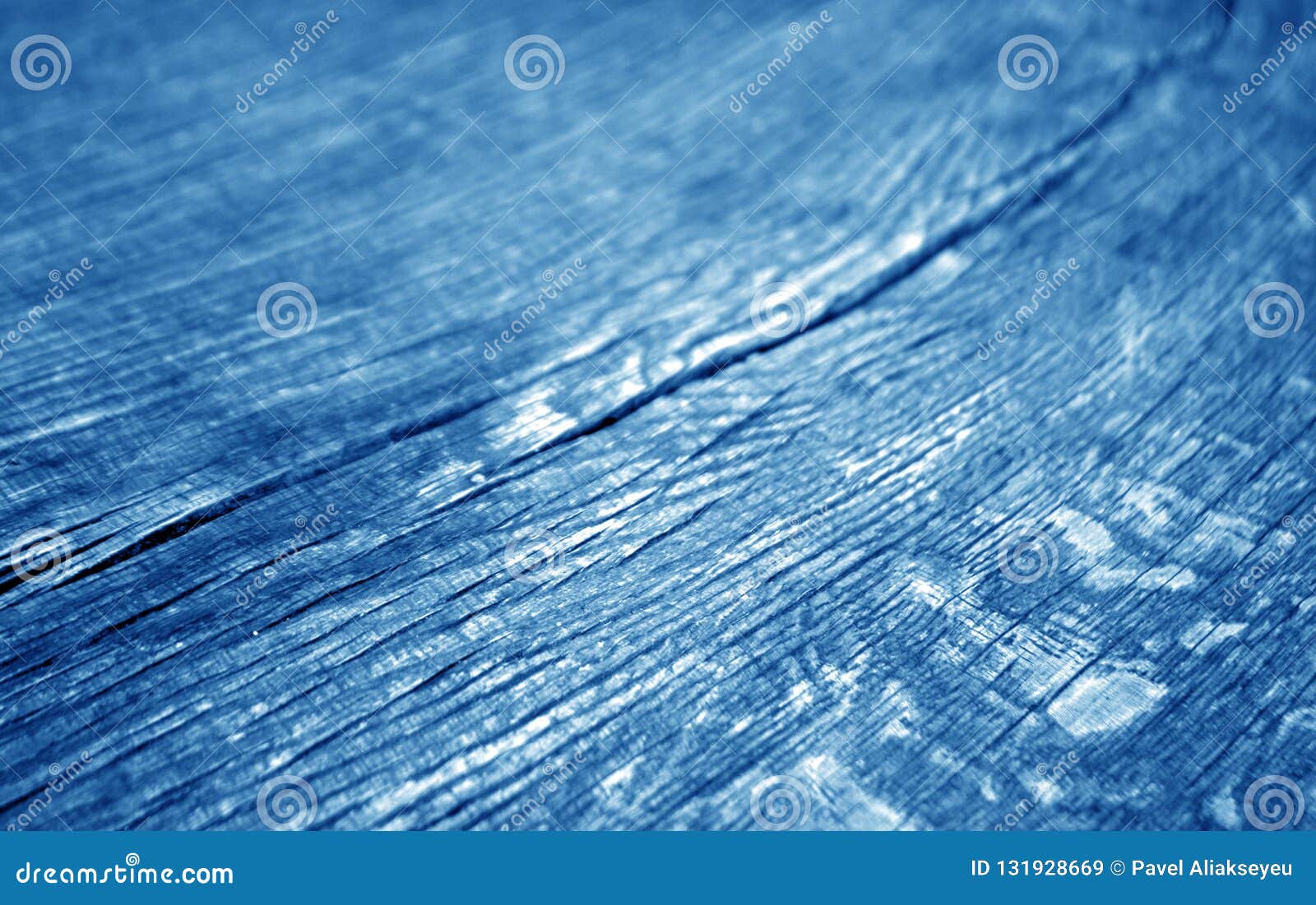 Old Log Cut Macro in Navy Blue Tone Stock Image - Image of concentric ...