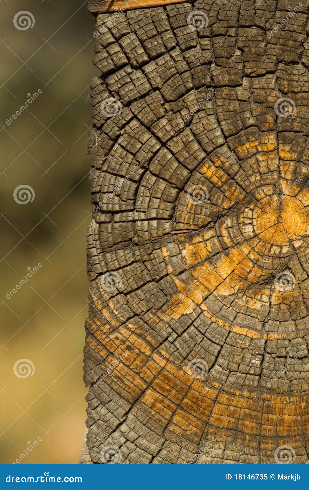 Old Log End from Square Log Cabin Stock Image - Image of backgrounds ...