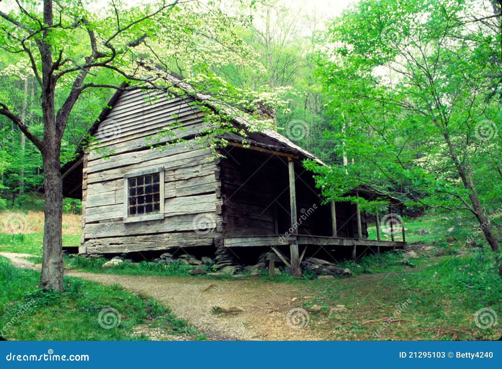 Old Log House with Dogwood Blooms Stock Image - Image of smoky ...