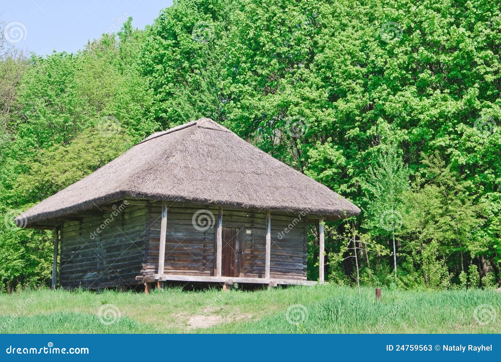 Old log hut in a forest stock image. Image of building - 24759563