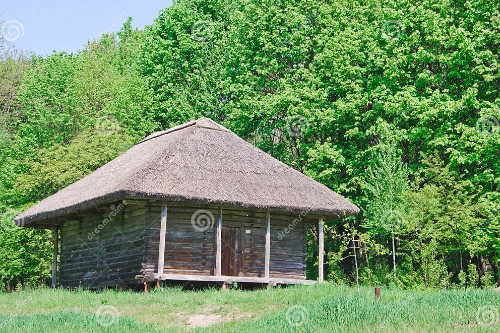 Old log hut in a forest stock image. Image of building - 24759563