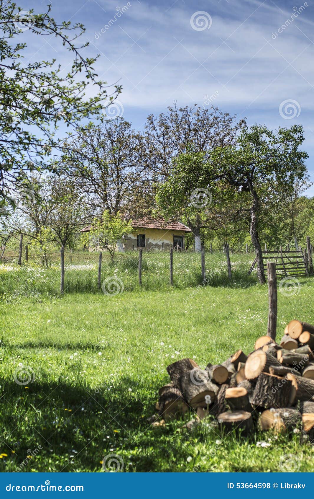 Old log hut in a forest stock photo. Image of hedge, cottage - 53664598