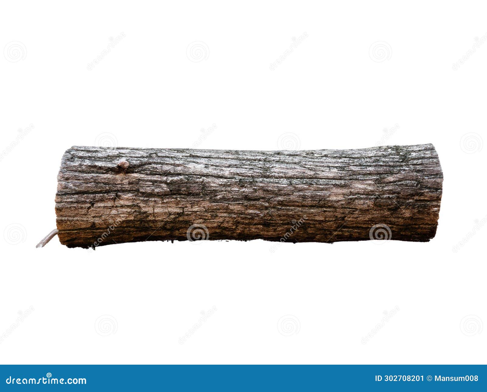 Old Log Isolated on White Background Stock Image - Image of isolated ...