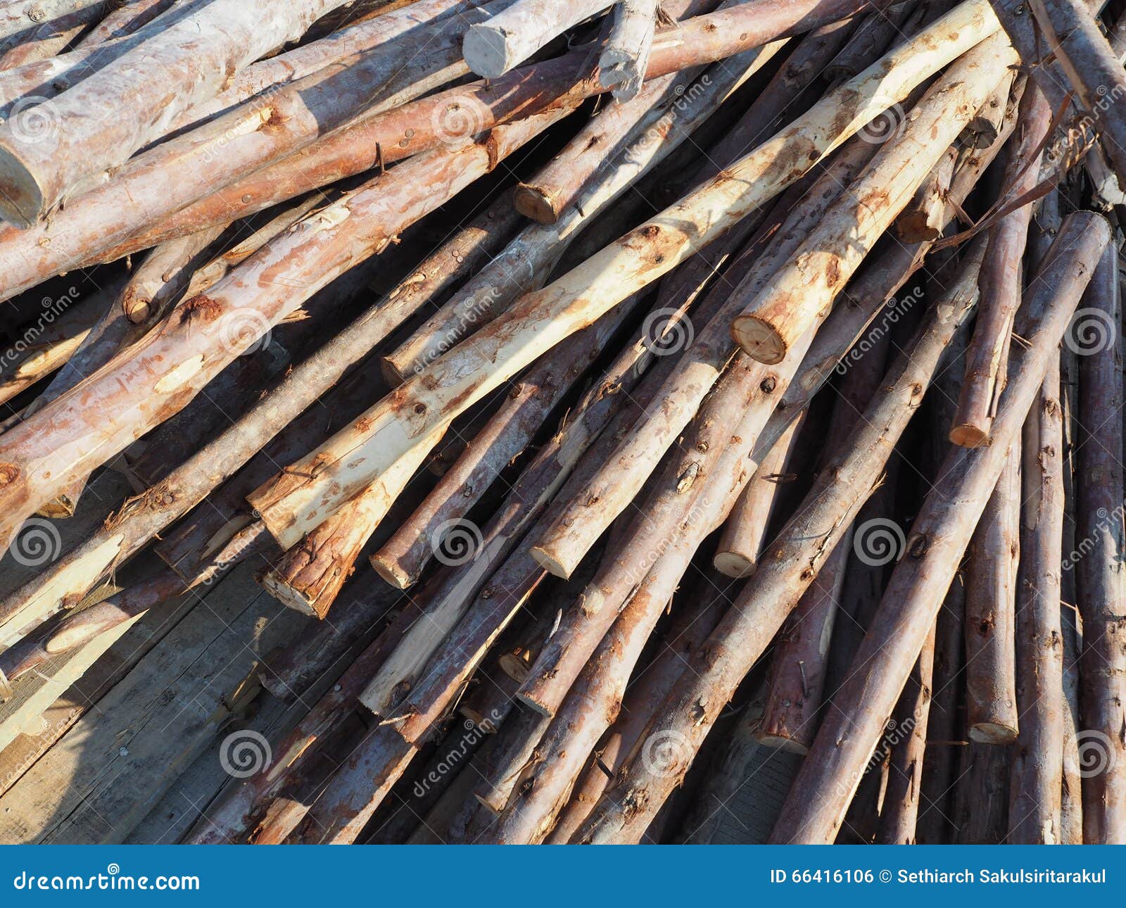 Old log pile stock photo. Image of firewood, deforestation - 66416106