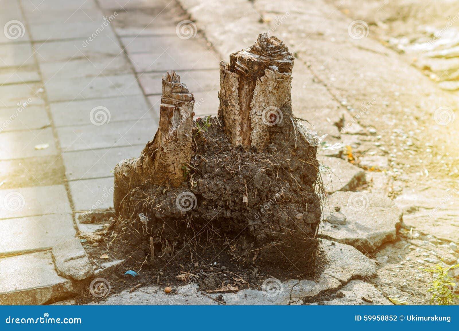 Old Log and Soil on Side Street with Sunlight Stock Photo - Image of ...