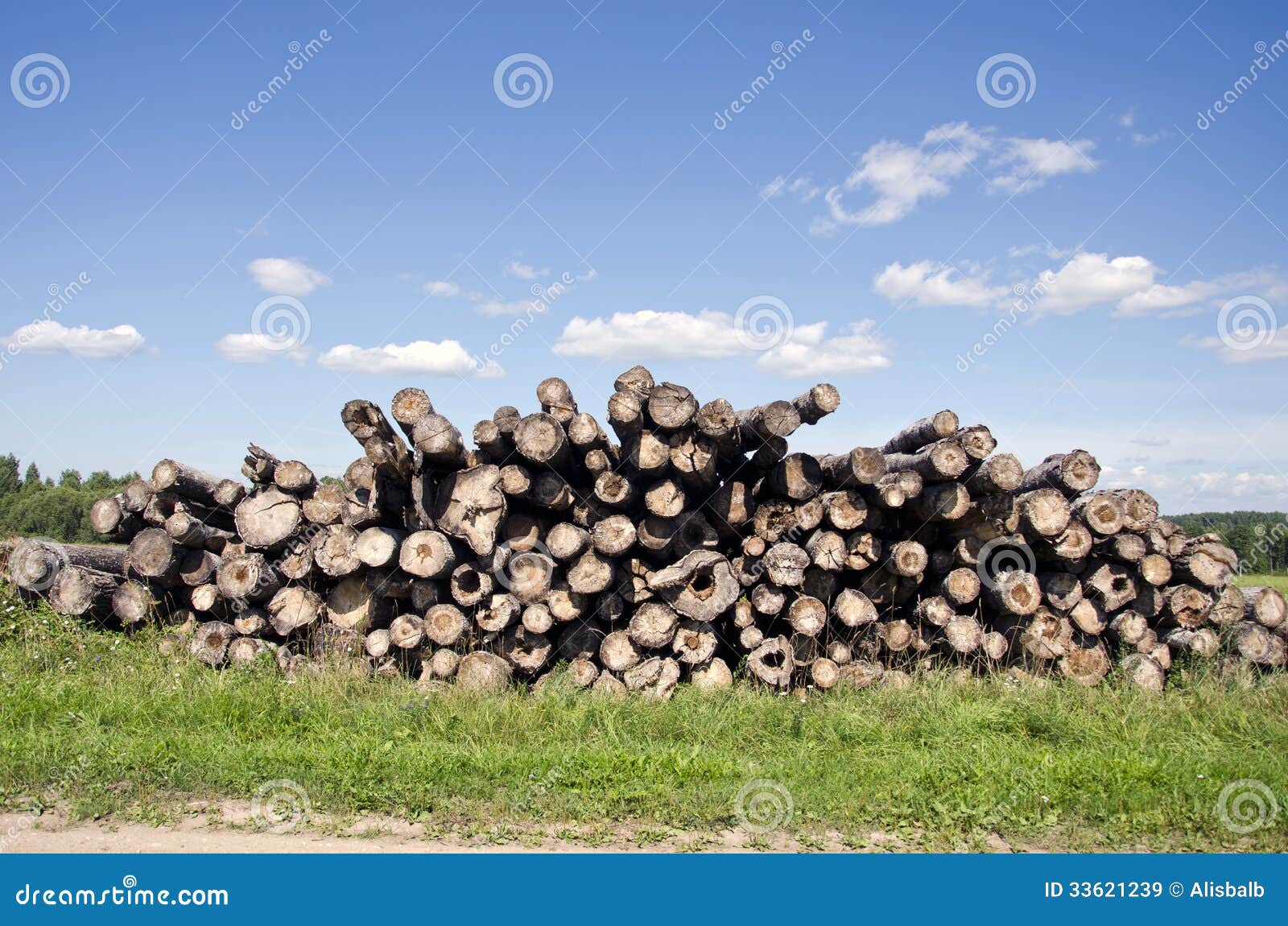 Old log stack on field stock image. Image of forest, industry - 33621239