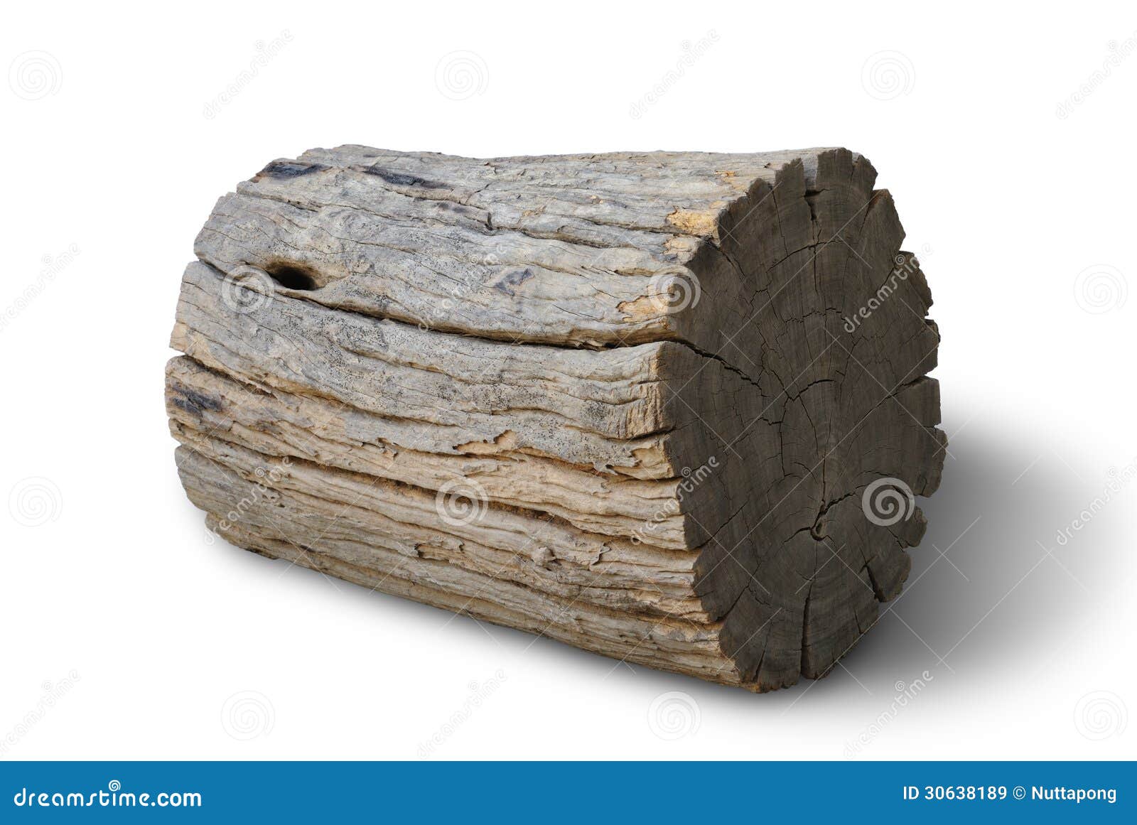 Old log wood stock image. Image of rough, environment - 30638189
