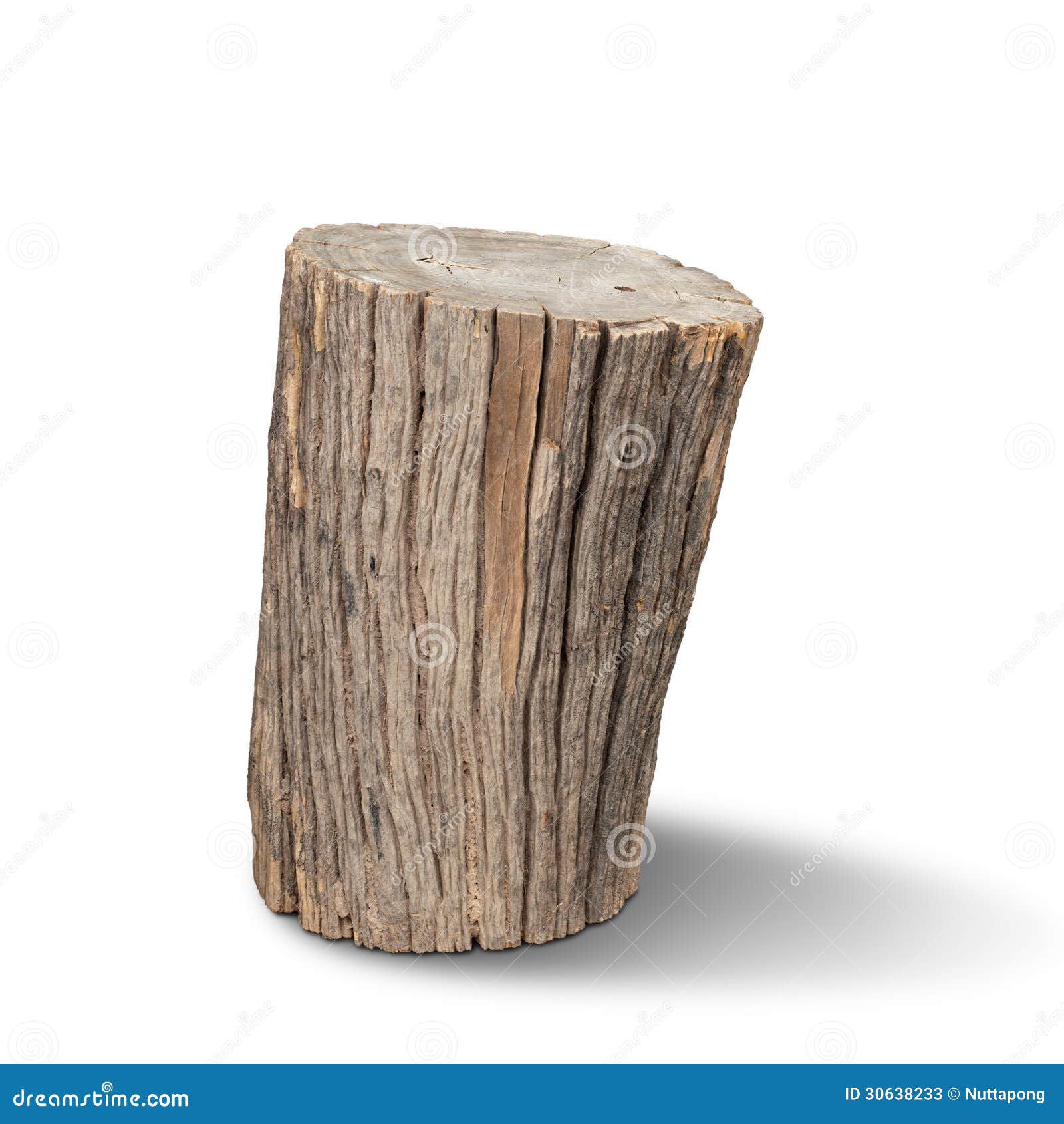 Old log wood stock image. Image of strong, ecology, bark - 30638233