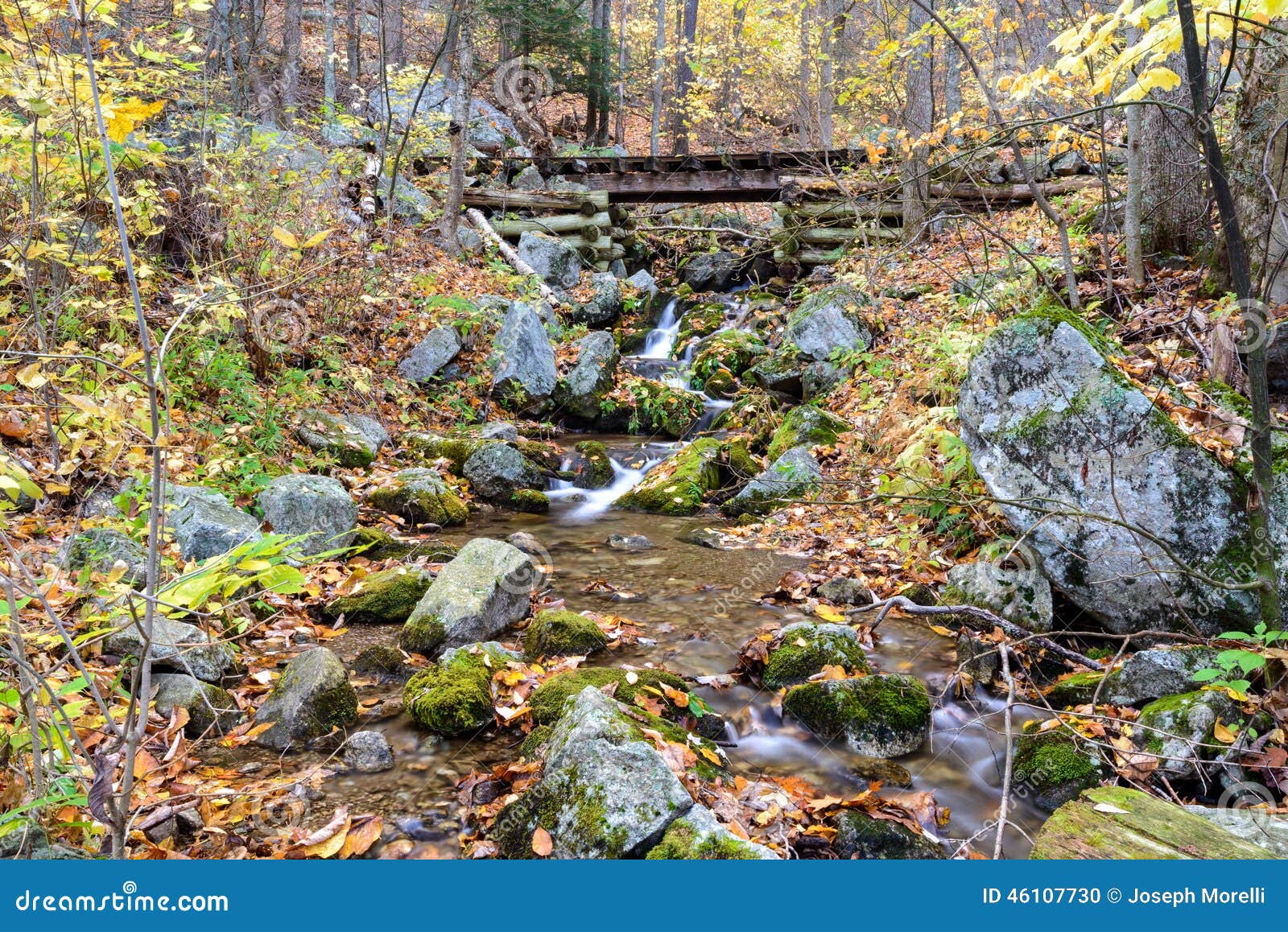 Old Logging Train Tracks on the Blue Ridge Parkway Stock Photo - Image ...