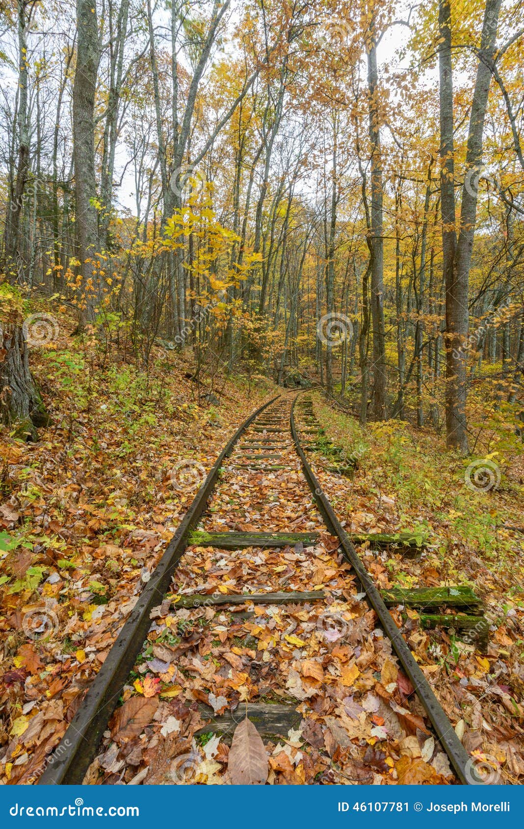 Old Logging Train Tracks on the Blue Ridge Parkway Stock Image - Image ...