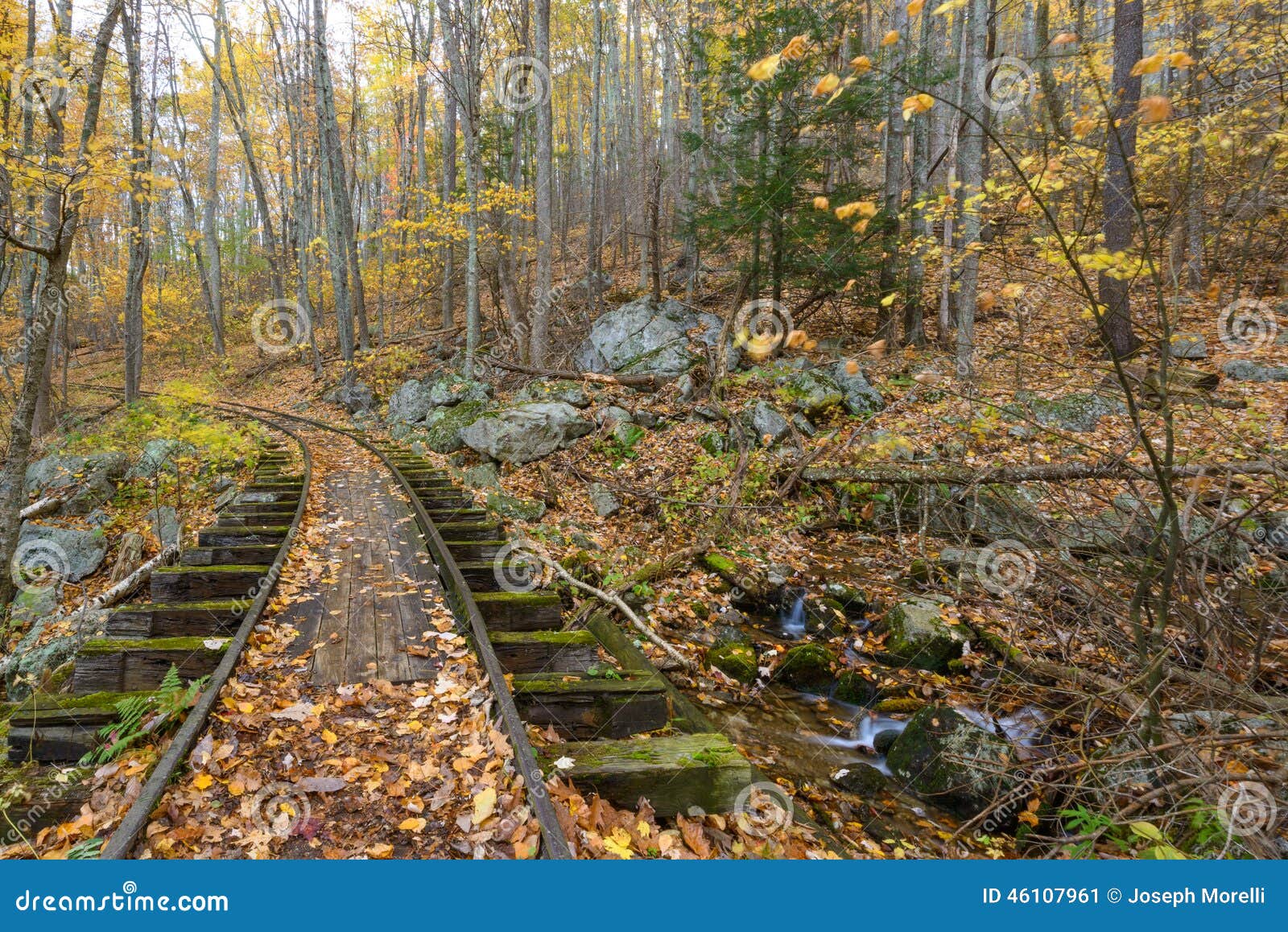 Old Logging Train Tracks on the Blue Ridge Parkway Stock Image - Image ...