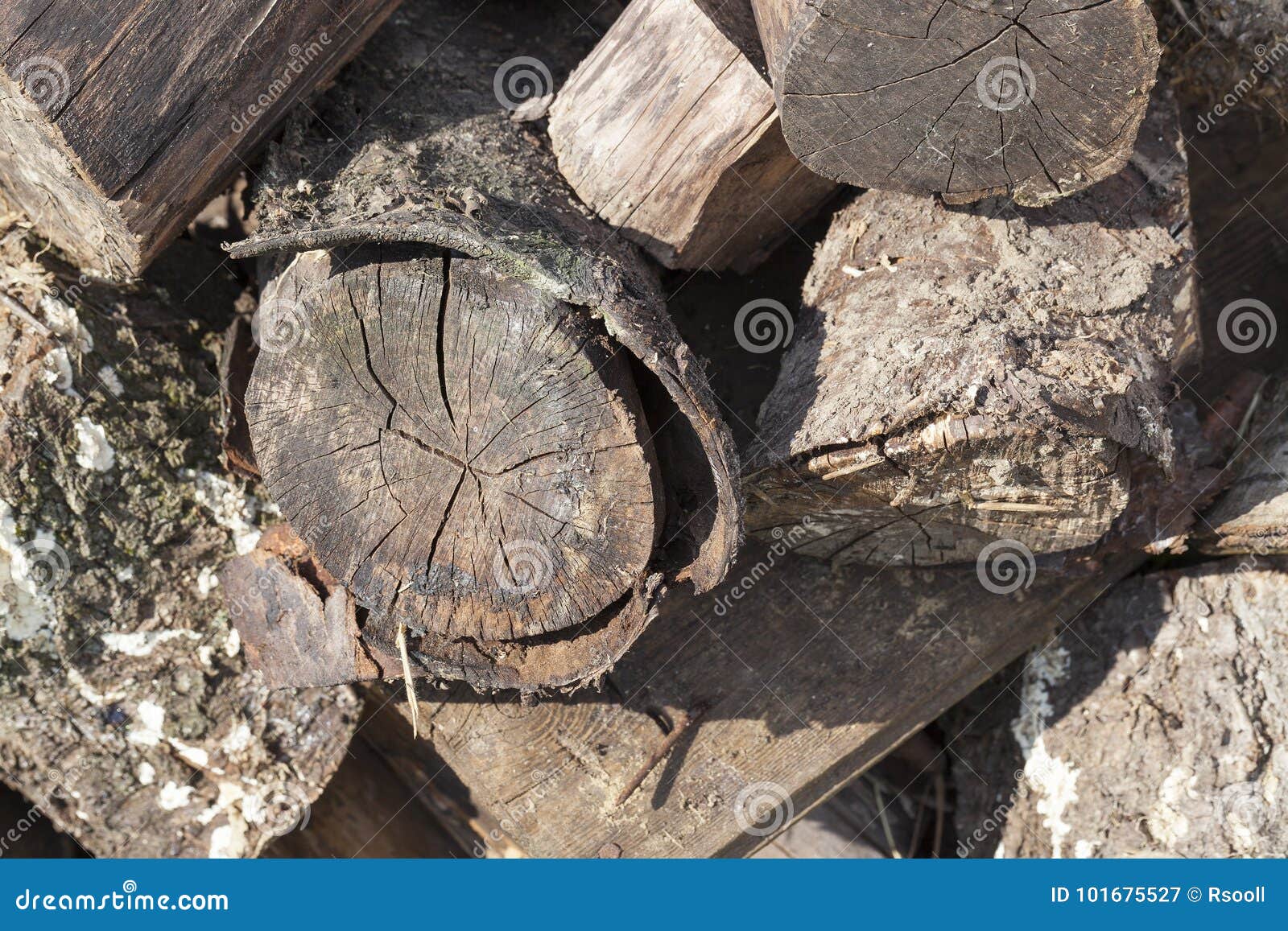 Old logs, close-up stock image. Image of agriculture - 101675527