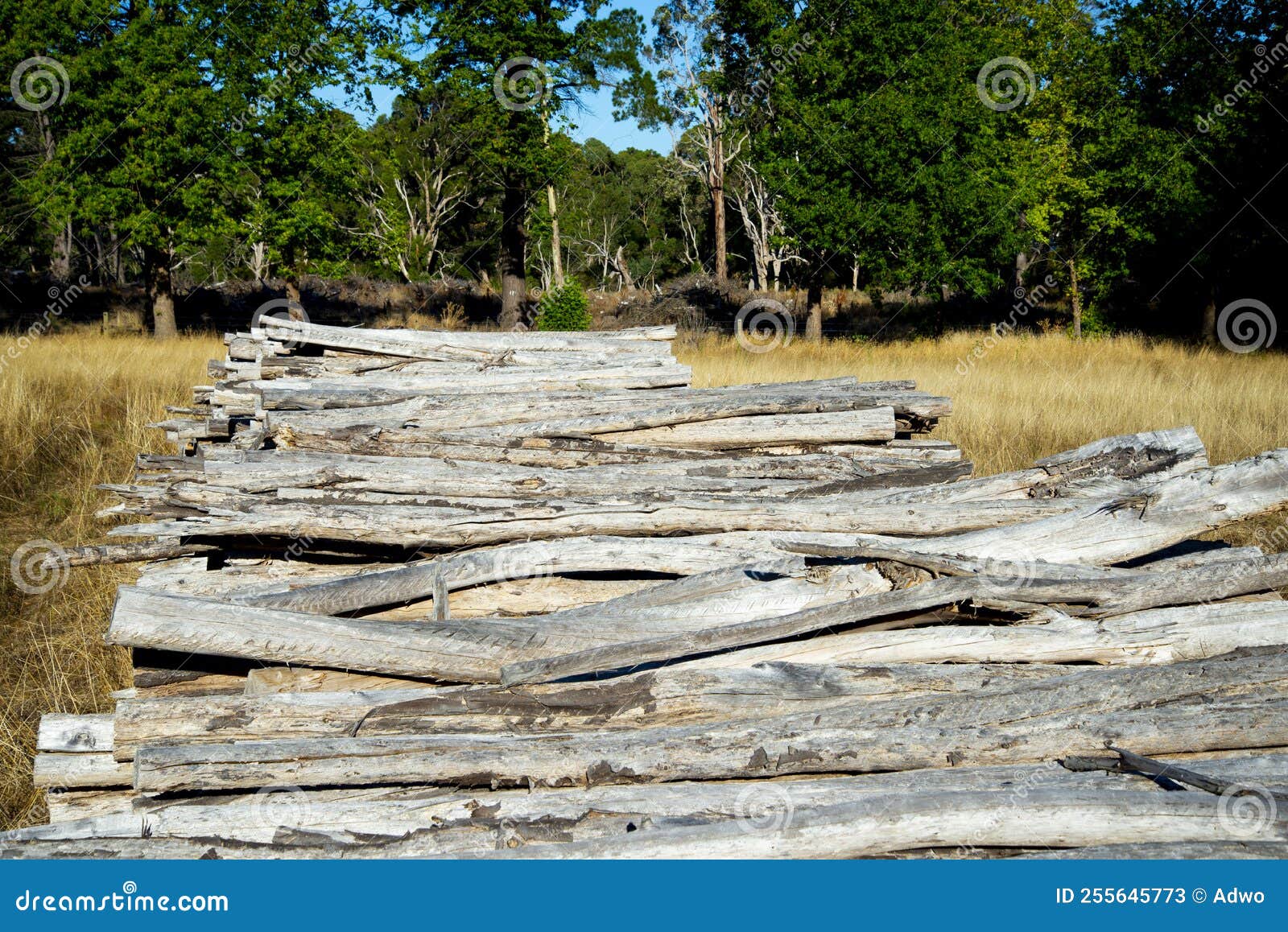 Old Logs stock image. Image of design, home, tree, logs - 255645773