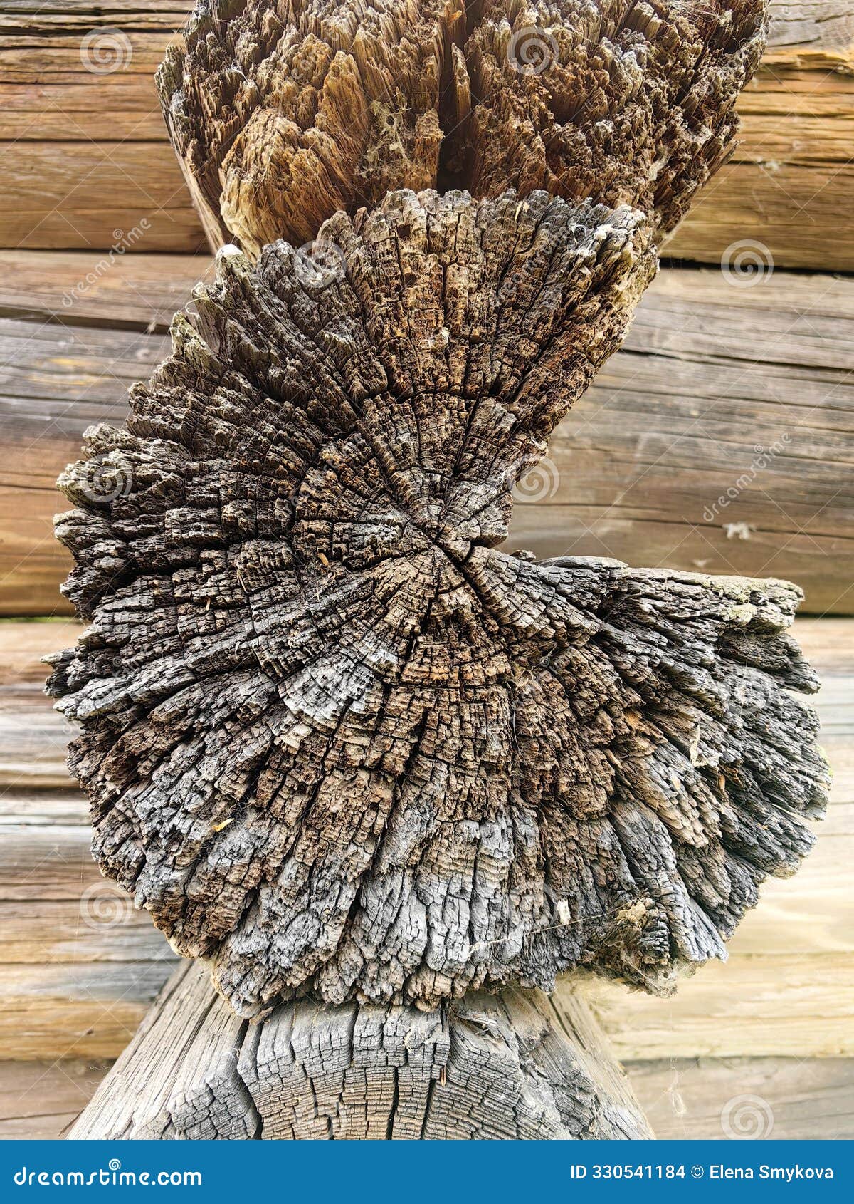 Old Logs in Section, Corner of the Hut, Small Plan Stock Photo - Image ...