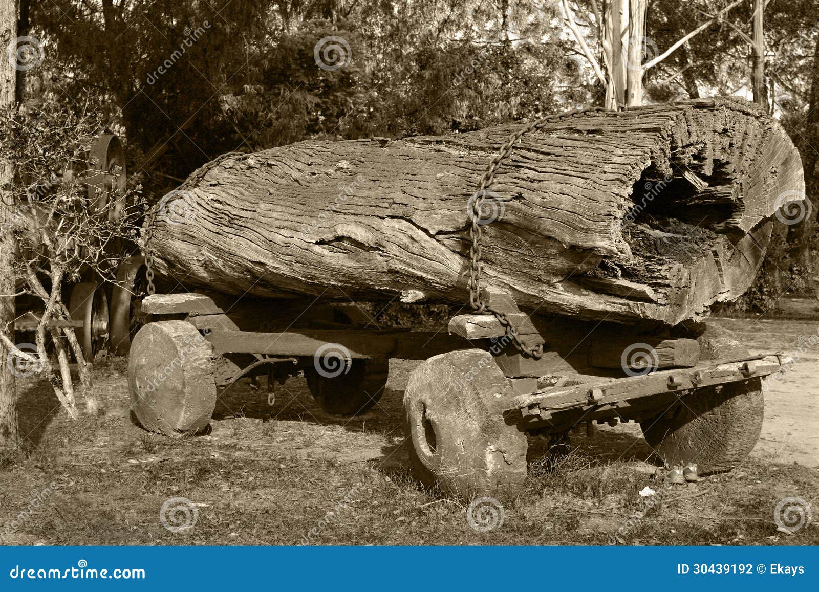 Old logs stock photo. Image of rough, farming, material - 30439192