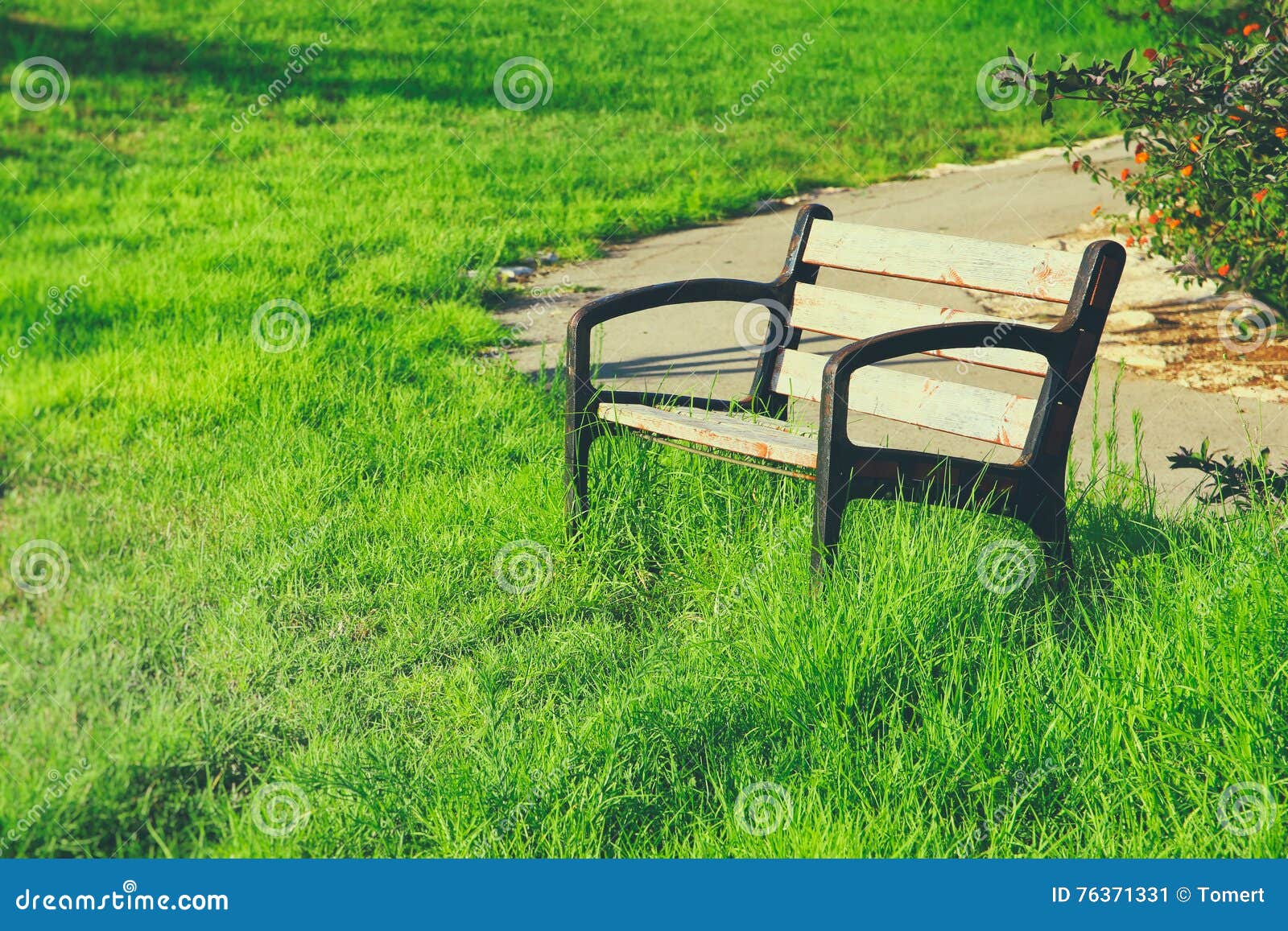Old Lonely Bench at the Quiet Park Stock Image - Image of lonely ...