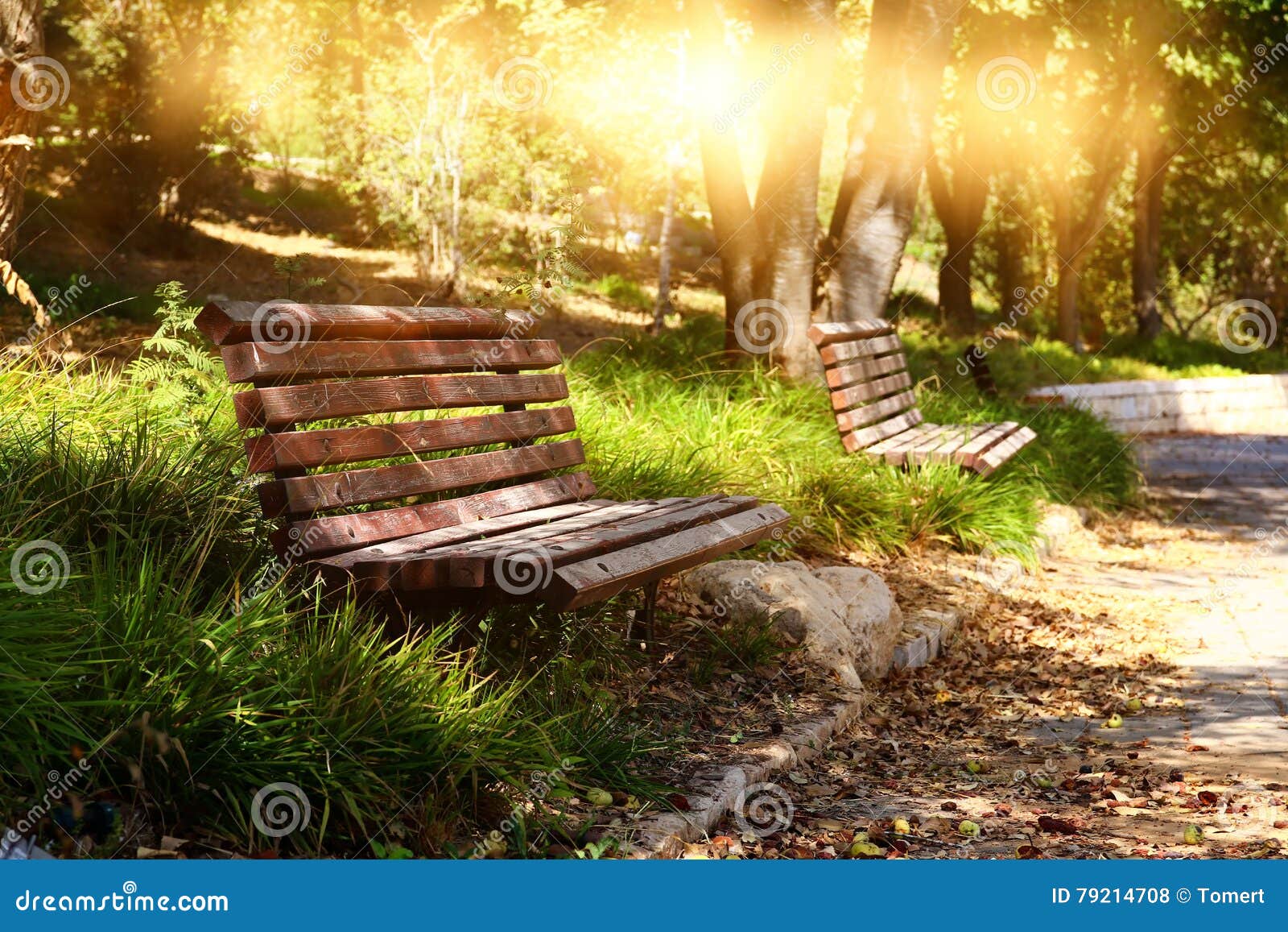 Old Lonely Bench in the Quiet Park at Sunset Light Stock Photo - Image ...