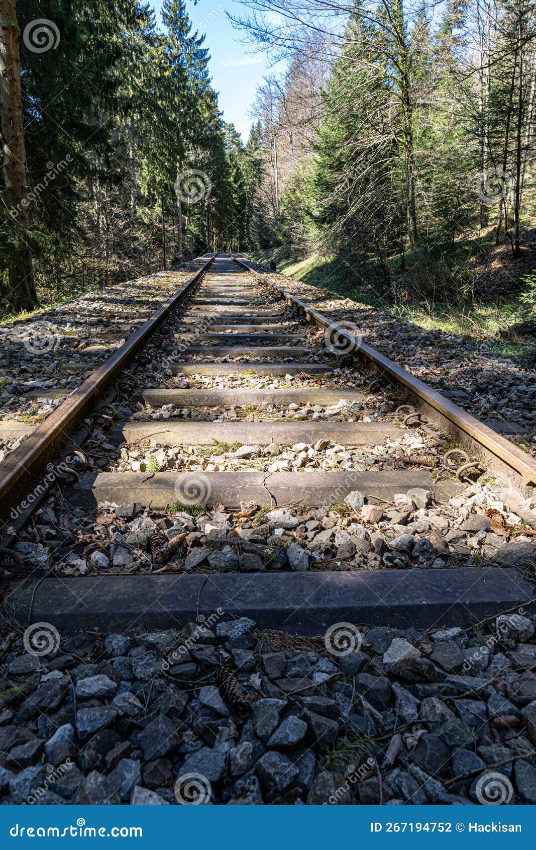 Old and Lonely Railroad through the Green Forest Stock Photo - Image of ...