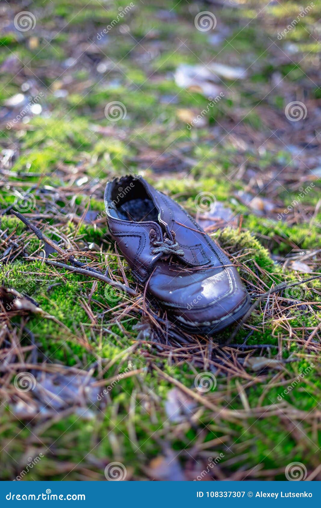 Old Lost Single Shoe in the Pine Forest Stock Image - Image of decay ...