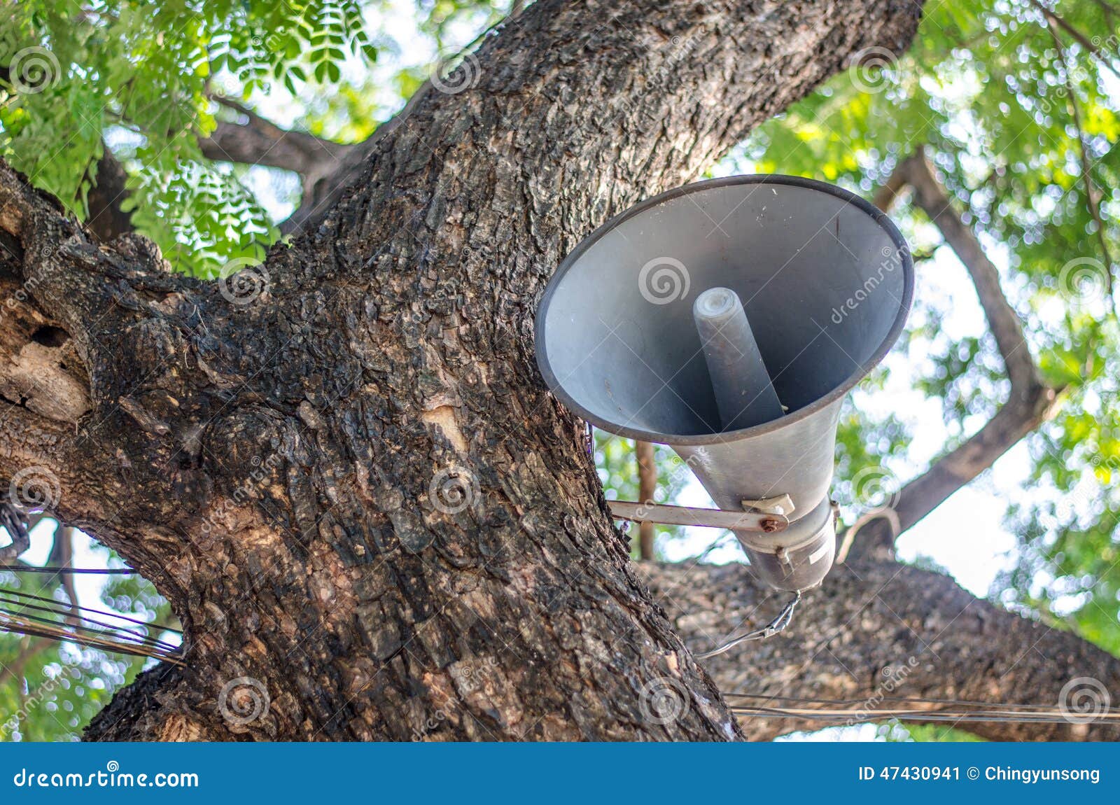 Old Loudspeaker Hanging on a Tree Stock Image - Image of loudspeaker ...