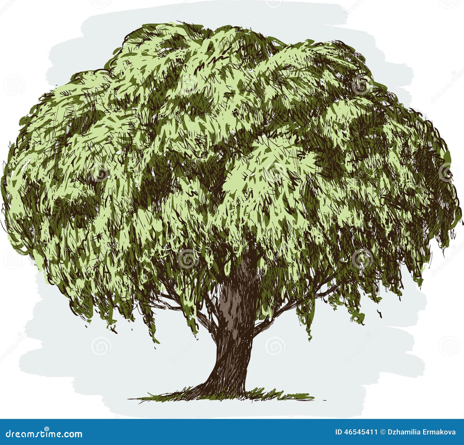 Old lush tree stock vector. Illustration of white, trunk - 46545411