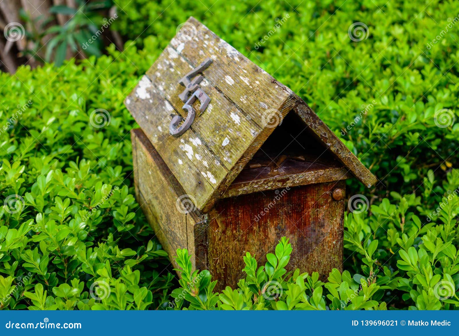 Old mail box and bush stock image. Image of green, wooden - 139696021