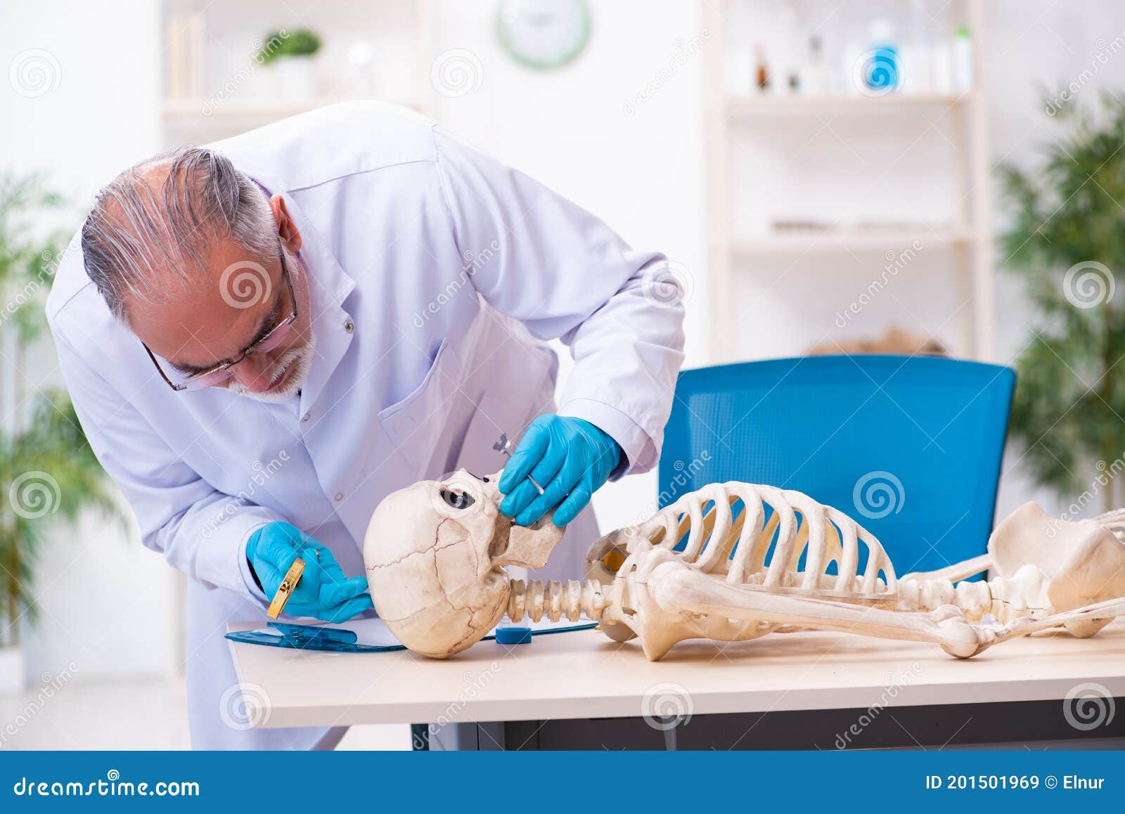 Old Senior Anthropologist Working in the Lab Stock Image - Image of ...