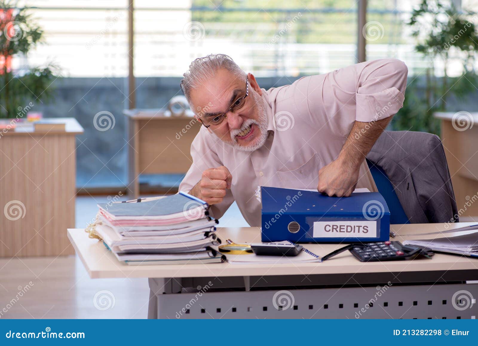Old Male Bookkeeper in Budget Planning Concept Stock Photo - Image of ...