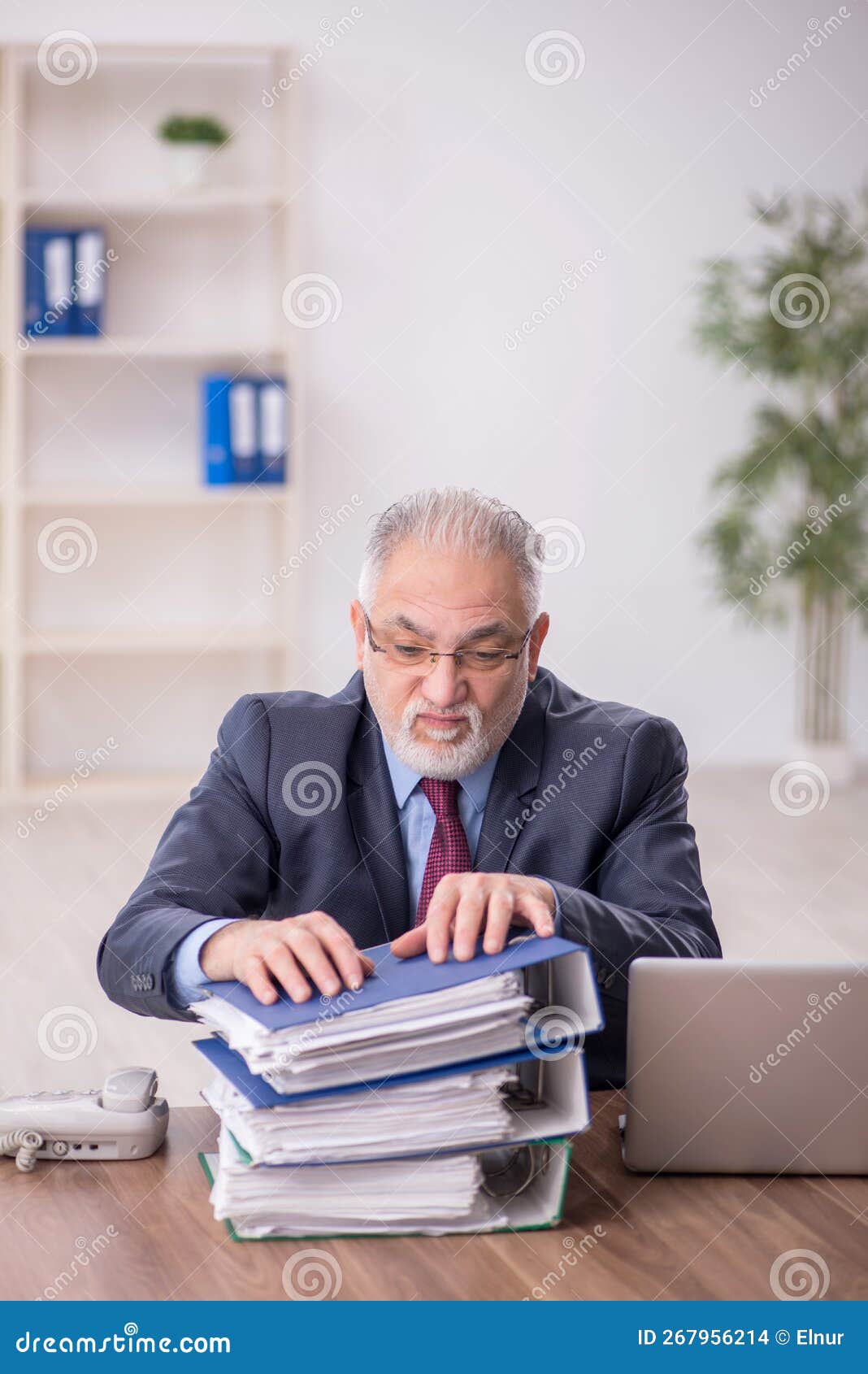Old Male Boss Employee Working in the Office Stock Photo - Image of ...