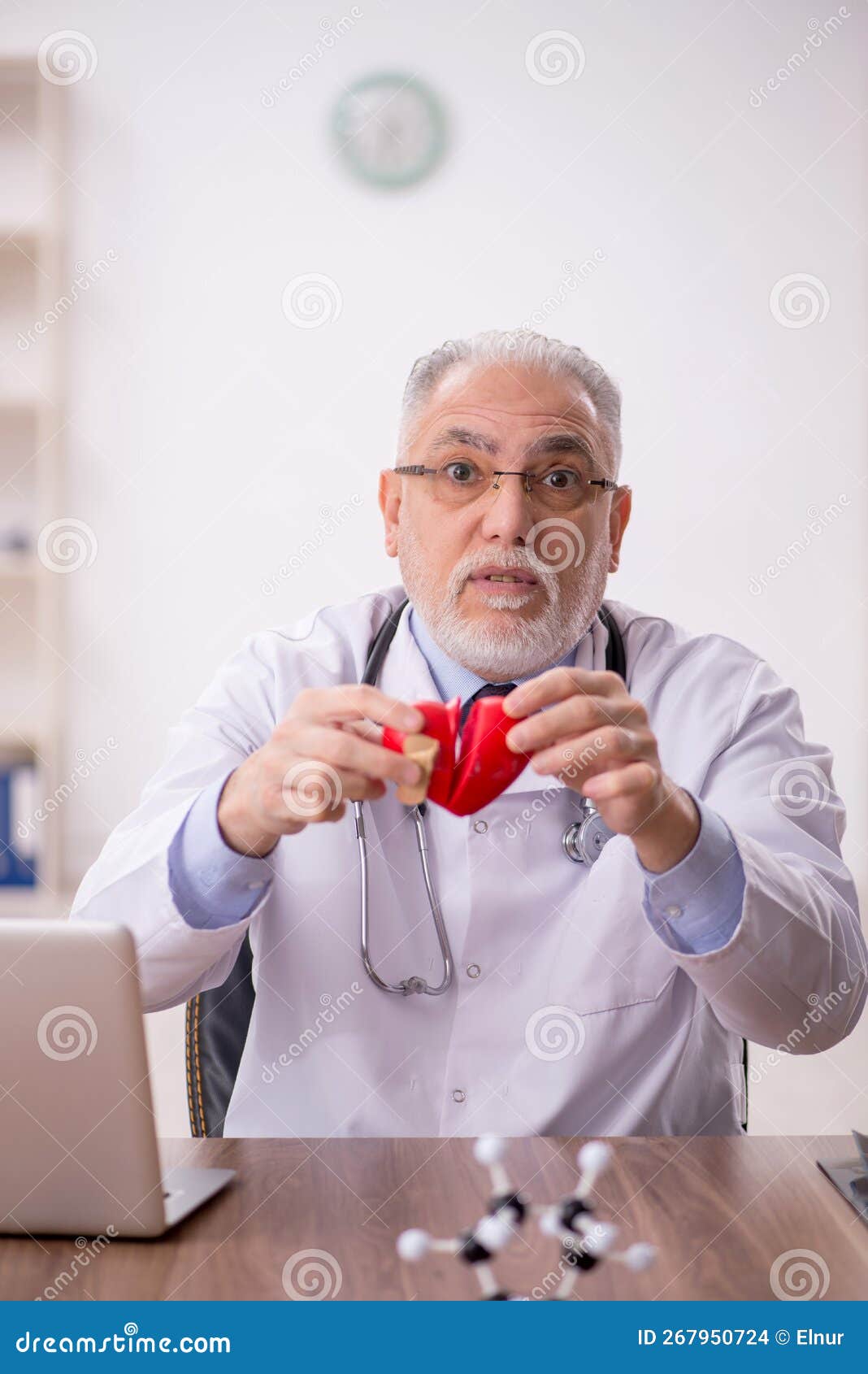 Old Male Cardiologist Holding Heart Model Stock Photo - Image of doctor ...