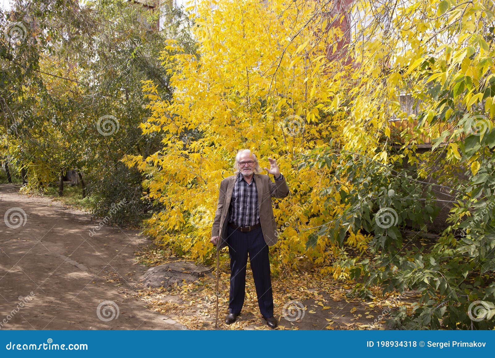 Old man in autumn forest stock photo. Image of farewell - 198934318