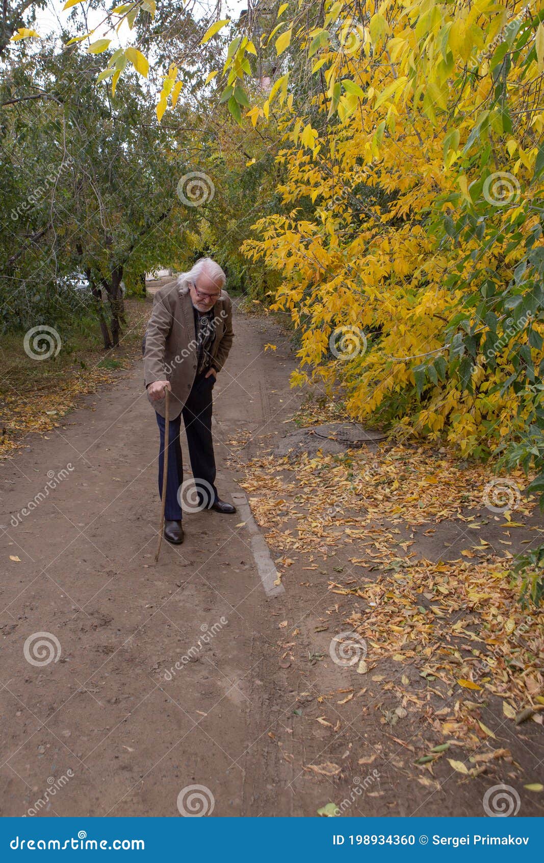 Old man in autumn forest stock photo. Image of russian - 198934360