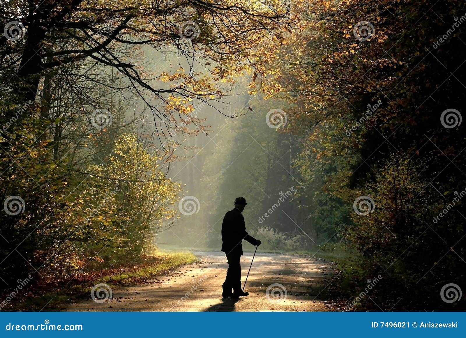 Old Man in Autumn Forest at Sunrise Stock Image - Image of foliage ...