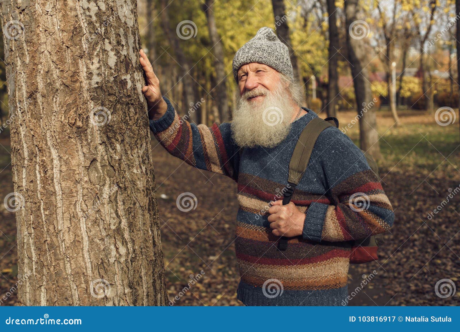 Old Man with Beard in Forest Stock Image - Image of landscape, elderly ...