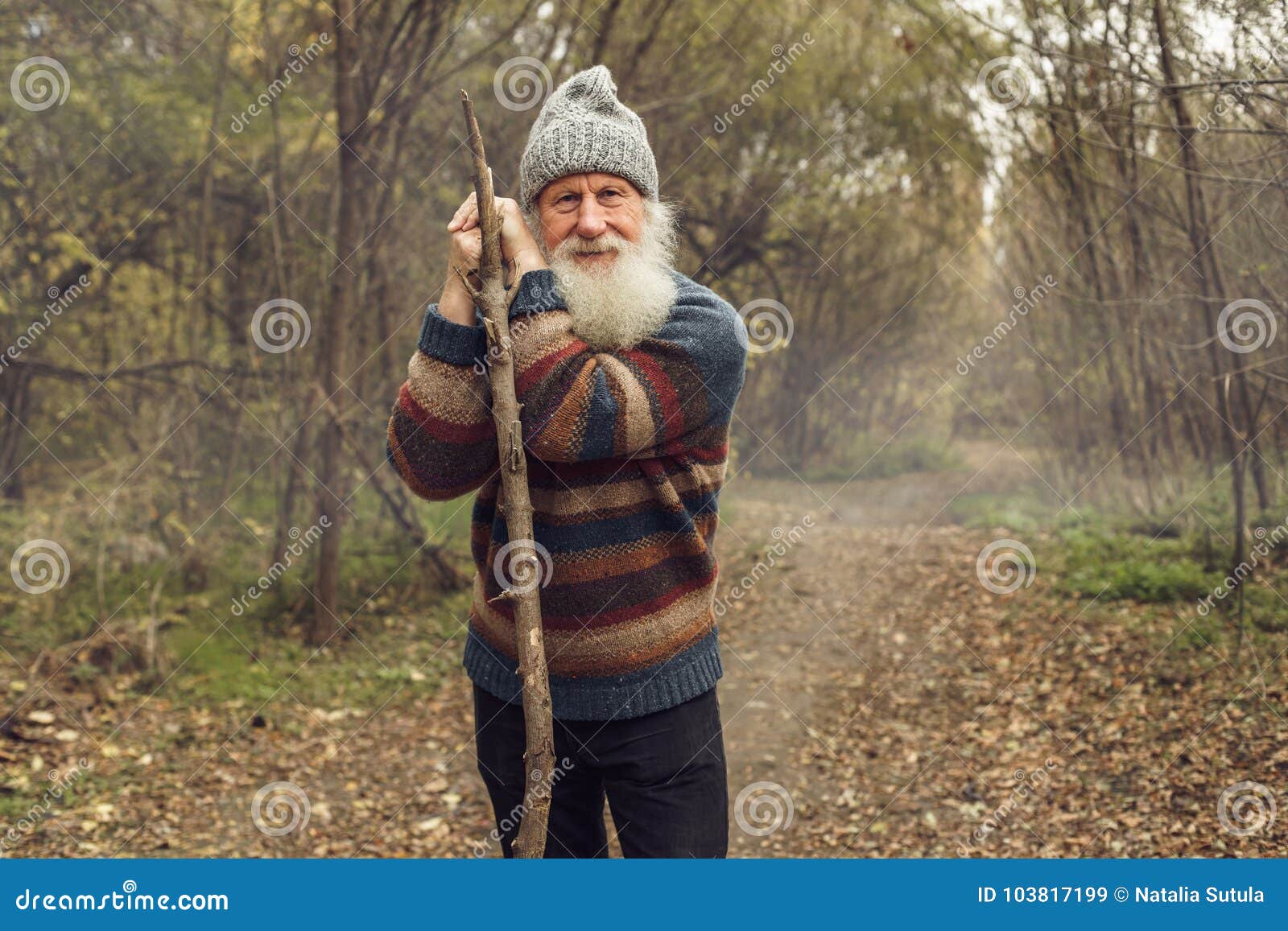 Old Man with Beard in Forest Stock Image - Image of plant, beard: 103817199