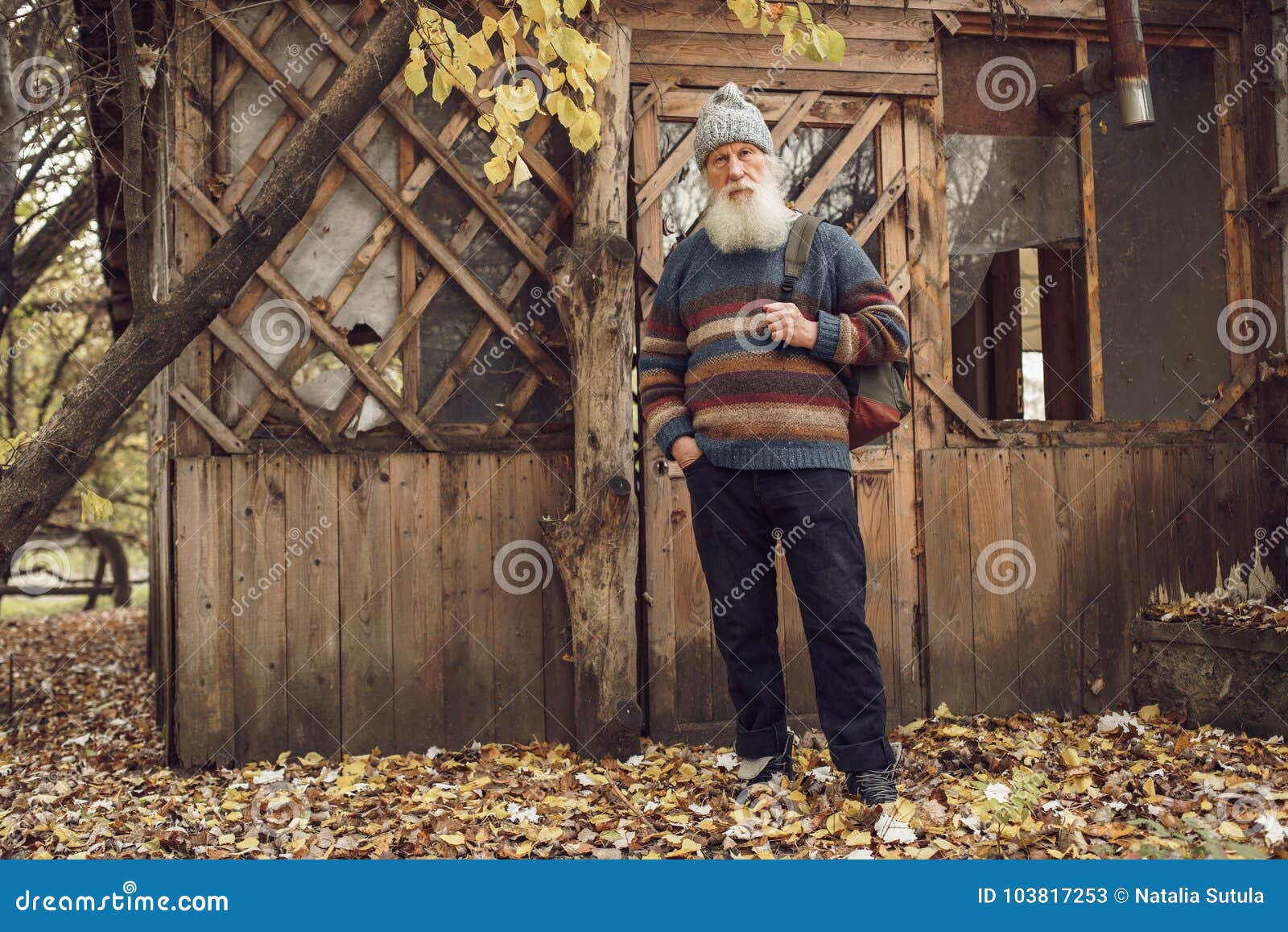Old Man with Beard in Forest Stock Image - Image of park, cheerful ...